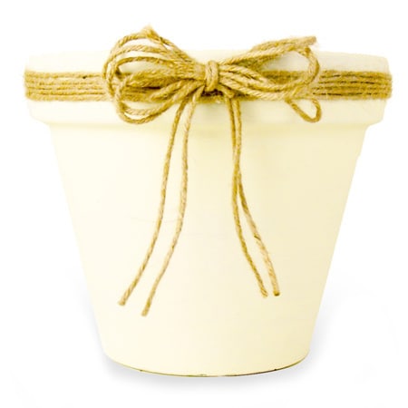 pots ribbon