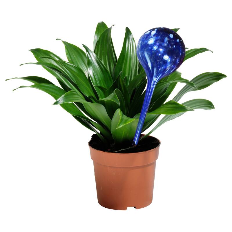 As Seen on TV Mini Watering Globes 16-piece Deluxe Set - Overstock ...