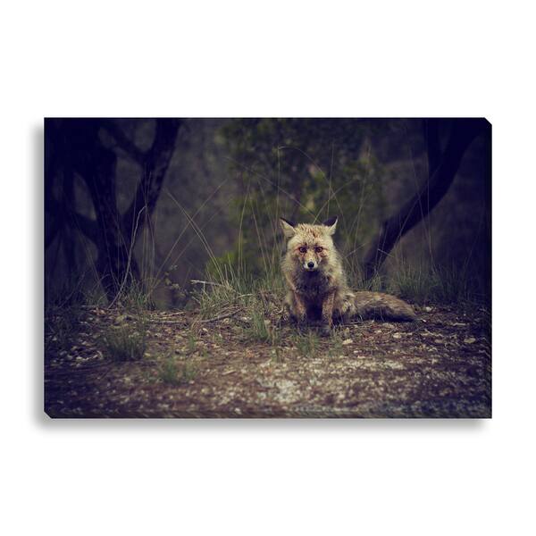 Gallery Direct New Era Photography 'Fox Vignette' Canvas Gallery Wrap ...