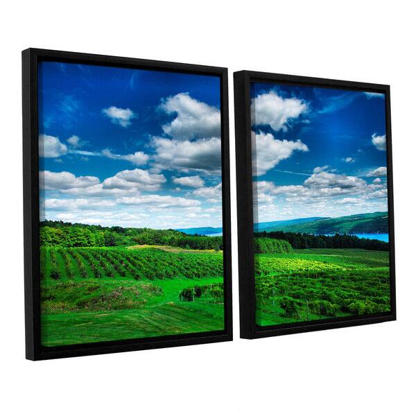 ArtWall Steve Ainsworth 'Vineyard And Lake' 2 Piece Floater Framed ...