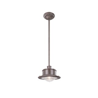 Troy Lighting South Street 1-light Small Hanging Downlight - Bed Bath ...