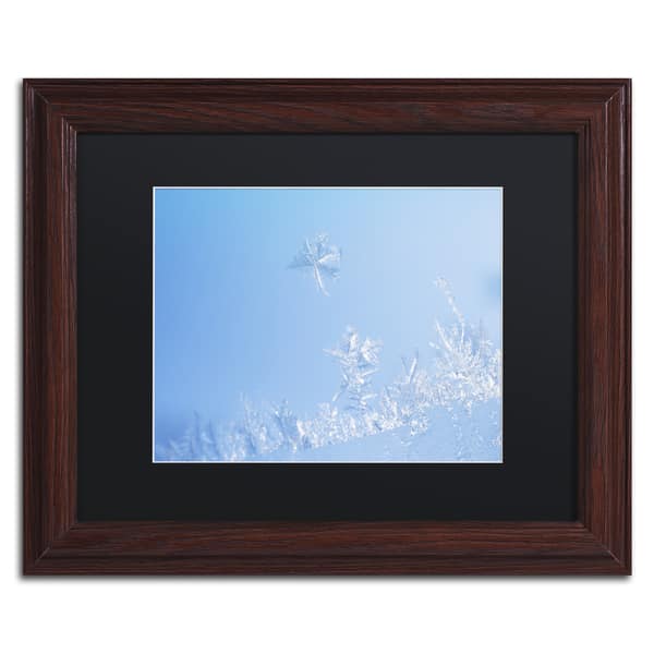 Kurt Shaffer 'Window Frost' Black Matte, Wood Framed Wall Art - Bed ...