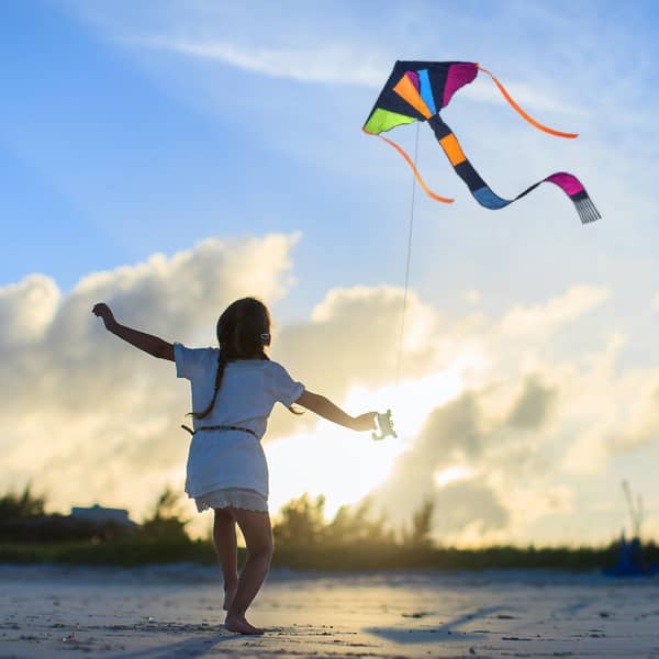 Matney Rainbow Sparkler Fly 46-inch Hi Delta Kite - Bed Bath & Beyond ...