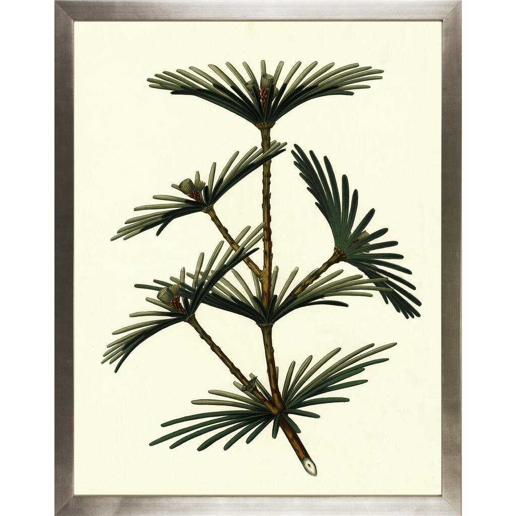 Japanese Pines Framed Art Print I - Warm Silver Finish - Overstock ...