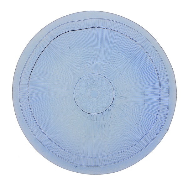 French Home 13-inch Sapphire Blue Birch Charger (Set of 4) - Bed Bath ...