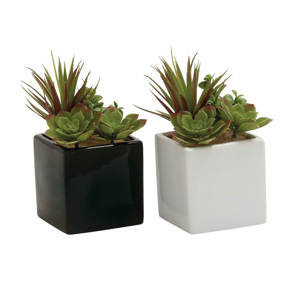Assorted PVC Ceramic Cube Succulents (Set of 2) - Overstock - 10973336