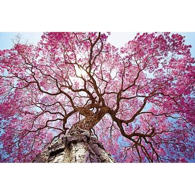 'Spring Tree' 20x30 Tempered Art Glass - Overstock - 11048195