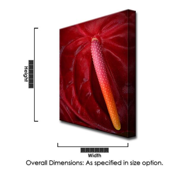 Anthurium' Floral Wrapped Canvas Wall Art - Bed Bath & Beyond - 11190090