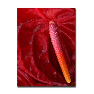 Anthurium' Floral Wrapped Canvas Wall Art - Bed Bath & Beyond - 11190090