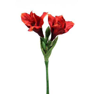 Red 27-inch Mini Amaryllis Stem (Pack of 12) - Overstock - 11511250