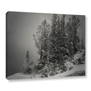 ArtWall Mark Ross's '10'000 Feet of Silence' Gallery Wrapped Canvas ...