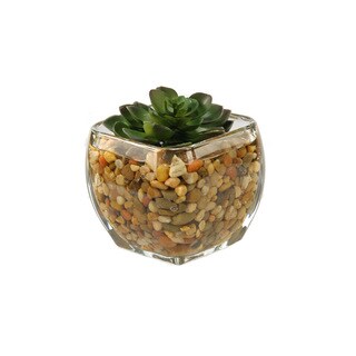 Small Glass Cube Floral Arrangement - Bed Bath & Beyond - 11527773