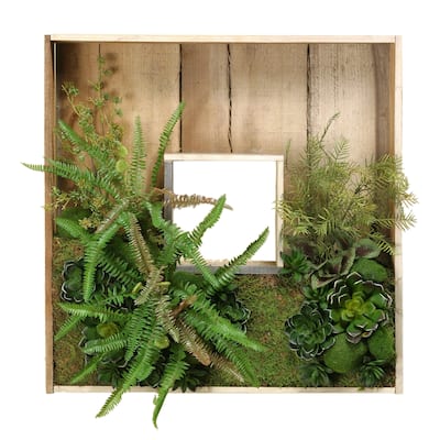 Square Wooden Shadow Box with Mixed Ferns and Succulents - Overstock ...