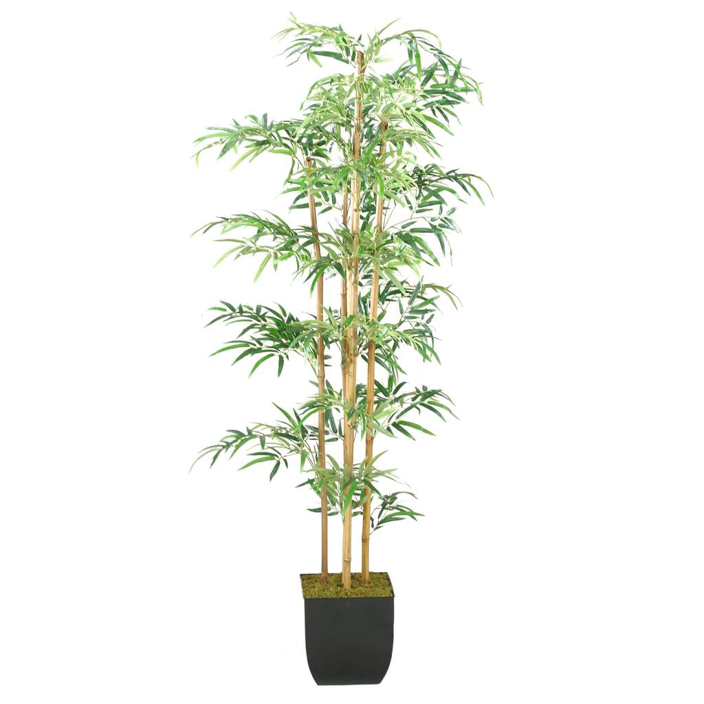 6-foot Bamboo Tree in Metal Planter - Green - Overstock - 11551895