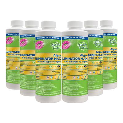 Aqua Chem Swimming Pool Algae ELIMINATOR MAX - Overstock - 11586116
