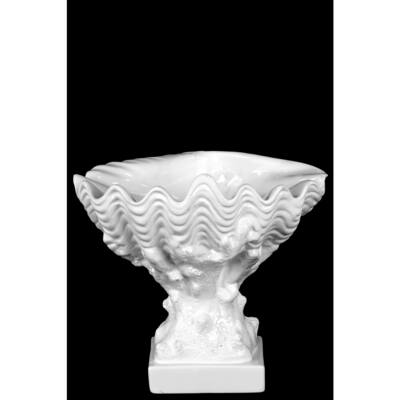 Glossy White Finish Ceramic Open Valve Clam Seashell Sculpture on Coral ...