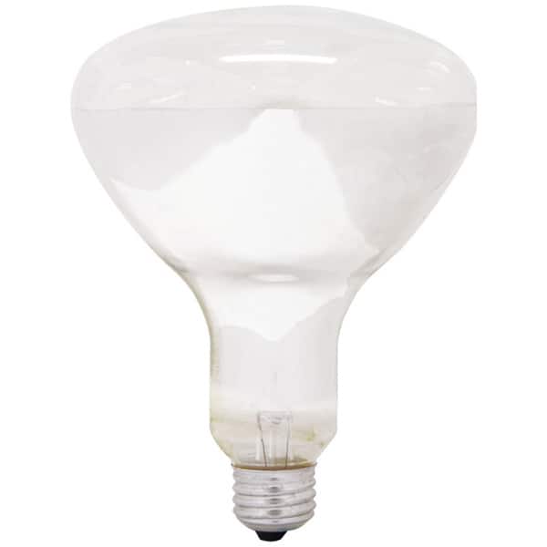 GE Lighting 37770 250 Watt R40 G.E. Lighting Infrared Heat Lamp - Bed ...