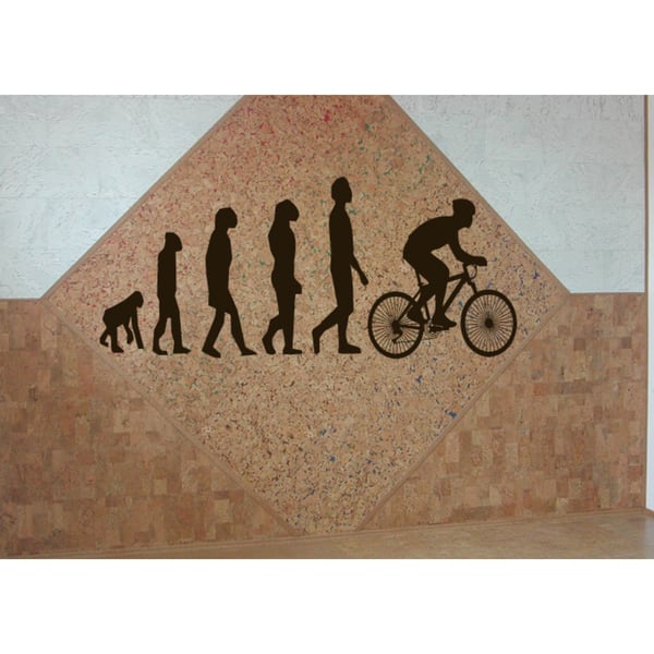 Evolution cycle racing Wall Art Sticker Decal Brown - Bed Bath & Beyond ...