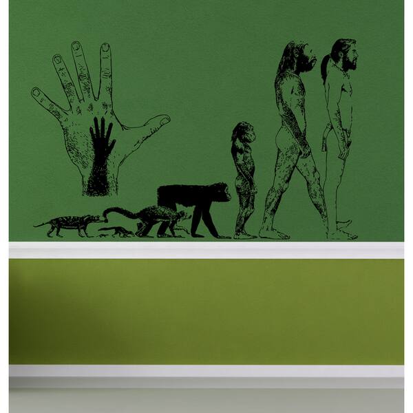 Evolution Biology fauna Wall Art Sticker Decal - Bed Bath & Beyond ...