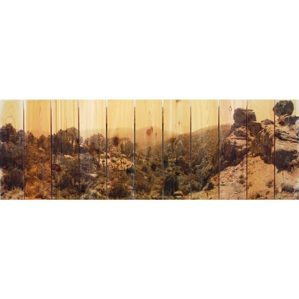 Rocky Ravine 60x20-inch Indoor/ Outdoor Full Color Cedar Wall Art - Bed ...