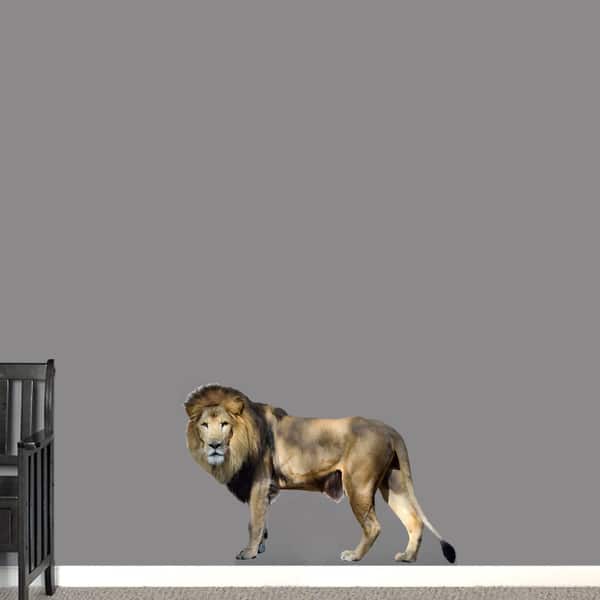 Printed Real Life Lion Wall Decal - Bed Bath & Beyond - 11740485