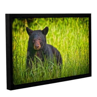Tom Croce's 'Black Bear Cades Cove 'Gallery Wrapped Floater-framed ...