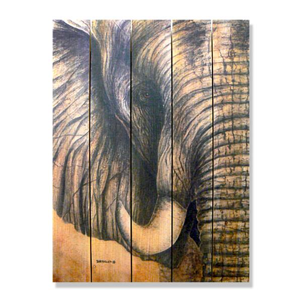 Dave Barthelet African Elephant 28-inch x 36-inch Indoor/Outdoor Full ...