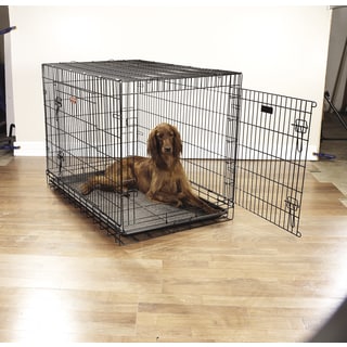 ProSelect Everlast Medium/Large Dual-door Dog Crate/Kennel - Bed Bath ...