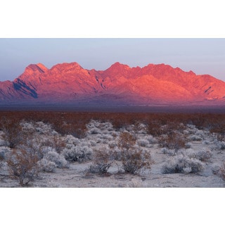 Marmont Hill 'Red Hills' Painting Print on Wrapped Canvas - Multi-color ...