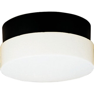 Progress Lighting P5711-31 Hard-Nox Two Light Wall or Ceiling fixture ...