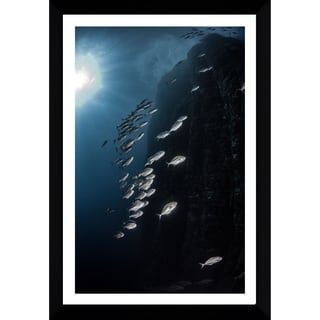 Craig Dietrich 'Tower of Fish' Framed Plexiglass Underwater Photography ...