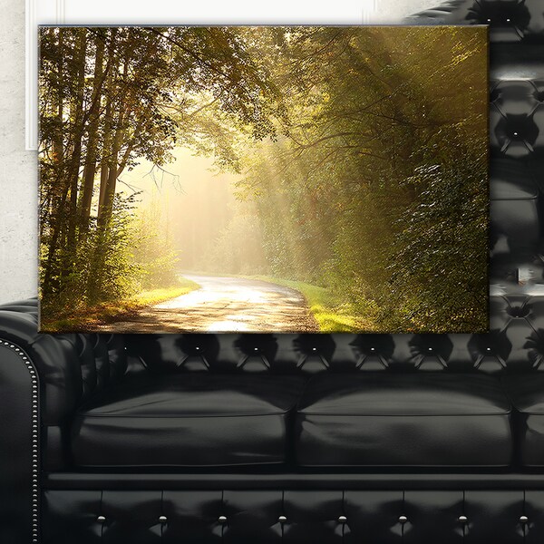 Bright Landscape Photography