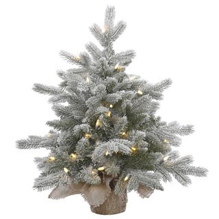 Frosted Sable Pine 24-inch Artificial Christmas Tree with 50 Clear ...