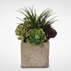 Succulent Arrangement in Concrete Cube - Bed Bath & Beyond - 12115007