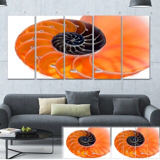 Orange Nautilus Shell - Abstract Art Canvas Print - Bed Bath & Beyond ...