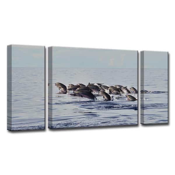 Free at Sea' Canvas Art by Chris Doherty - Bed Bath & Beyond - 12176620