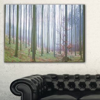 Autumn Tree Trunks Panorama - Oversized Forest Canvas Artwork Print ...