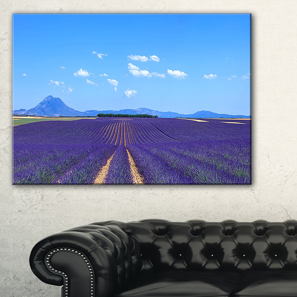 Tuscany Farmland and Green Fields - Oversized Landscape Wall Art Print - Bed Bath & Beyond ...