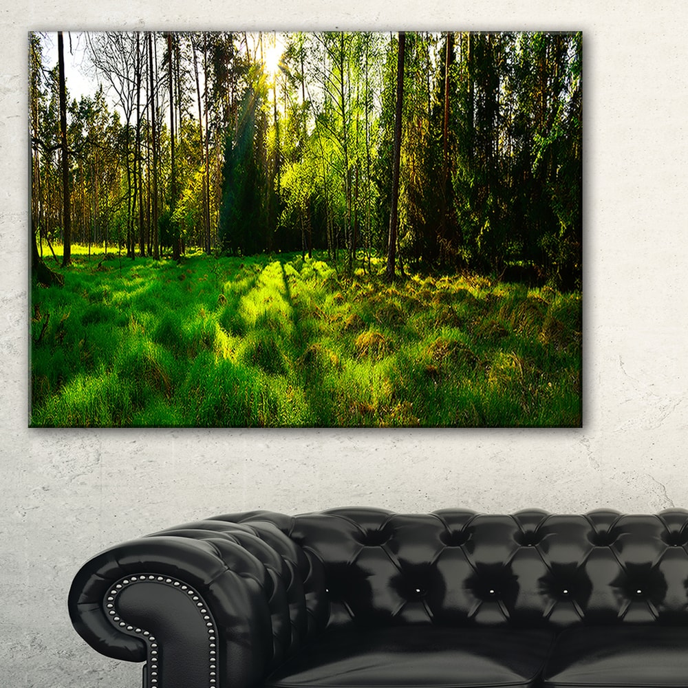 Romantic Blue Forest View - Landscape Photo Canvas Art Print - Bed Bath ...