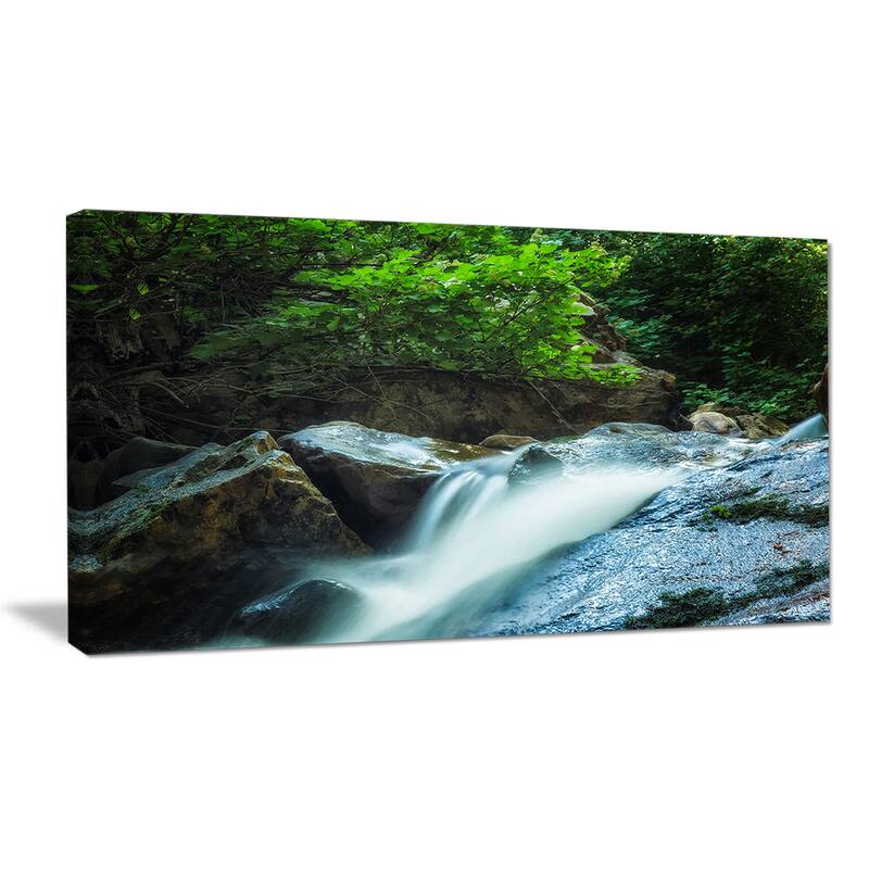 Water Slide over the Moss - Landscape Art Canvas Print - Multi-color ...