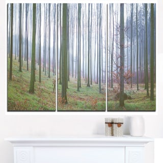 Autumn Tree Trunks Panorama - Oversized Forest Canvas Artwork Print ...