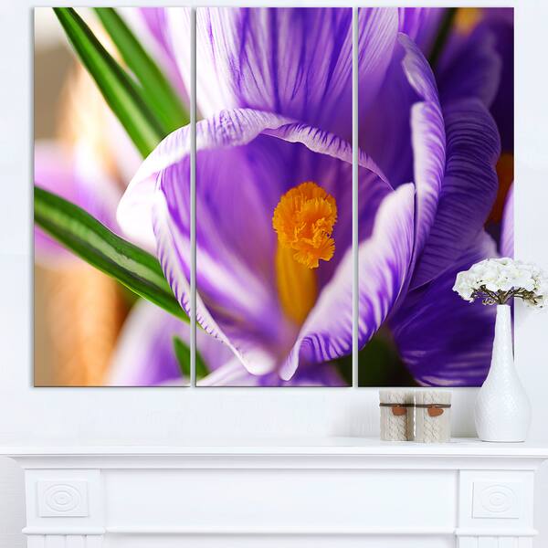 Blooming Crocus Flower - Large Floral Wall Art Canvas - Red - Bed Bath ...
