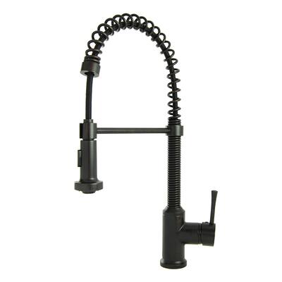 Brienza Oil Rubbed Bronze Residential Spring Coil Kitchen Faucet ...