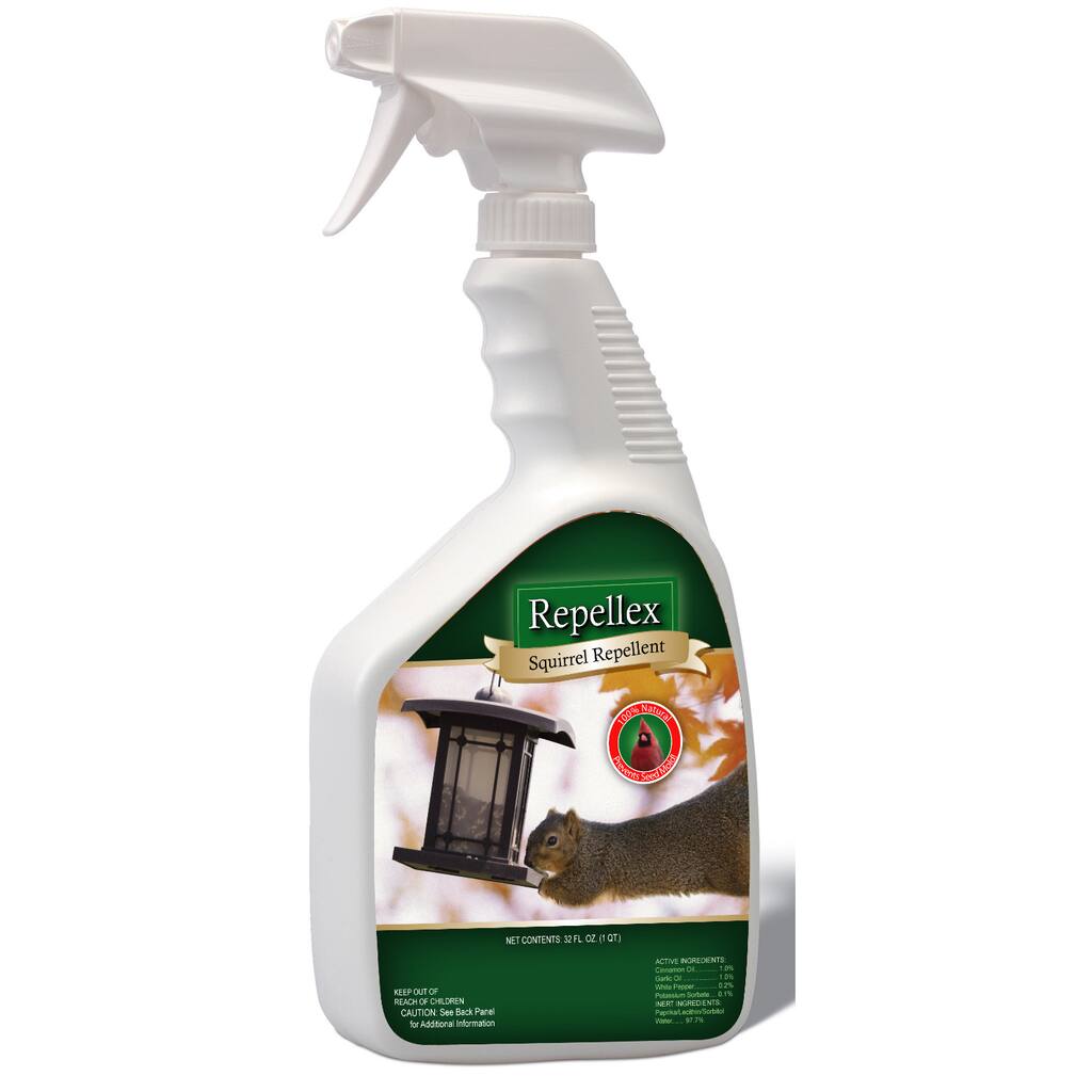 Repellex 10710 1-quart Repellex Squirrel Repellent RTU - Overstock ...