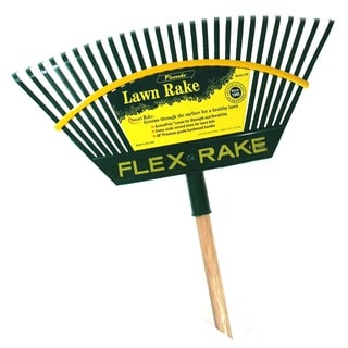 Flexrake 2W 48-inch Handle 21-inch Lehan Action Poly Head Lawn Rake ...