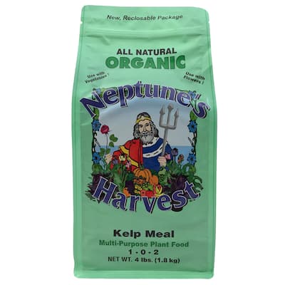 Neptune feets Harvest KM604 4-Pound Organic Kelp Meal Multi-Purpose ...