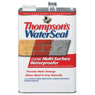 Thompsons Waterseal 24101 1 Gallon Clear WaterSeal Multi-Surface ...