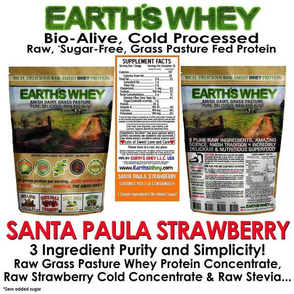 Amish Earth's Whey Protein Grass Fed, Cold Processed, Raw, SUGAR FREE ...