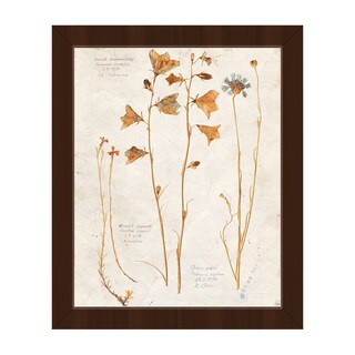 'Dry Wildflowers' Framed Canvas Wall Art - Bed Bath & Beyond - 12712953