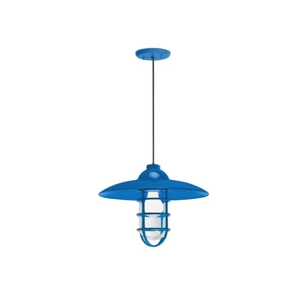 Troy RLM Lighting Retro Industrial Blue Dome Wire Guard Pendant - Bed ...